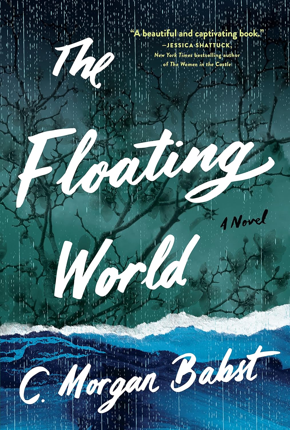 Amazon.com: The Floating World: A Novel: 9781616205287: Babst, C ...