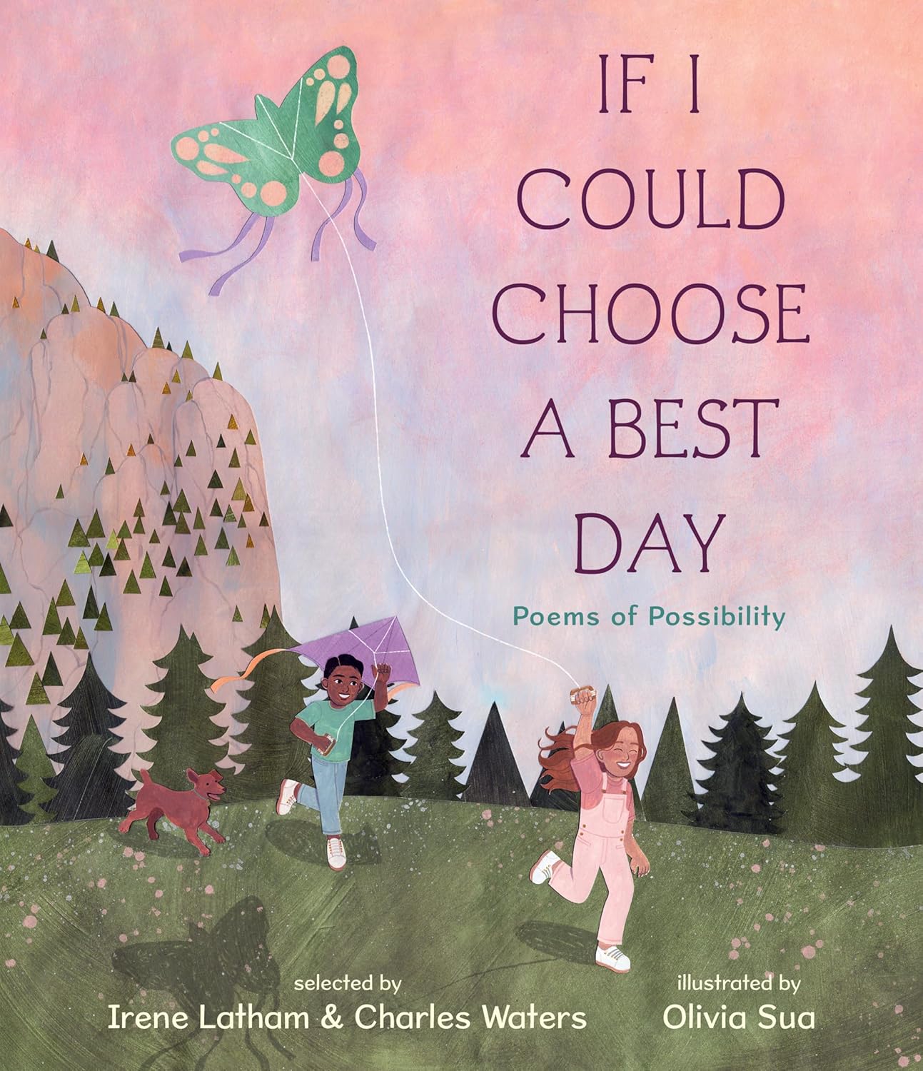 If I Could Choose a Best Day: Poems of Possibility: Waters, Charles ...
