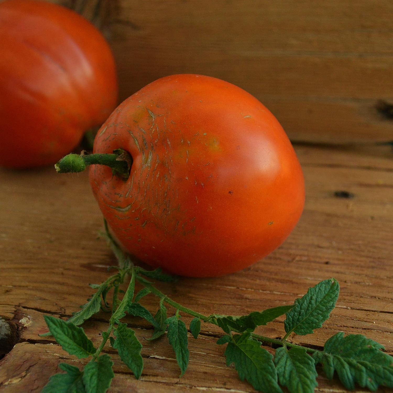 Amazon.com : Italian Heirloom Tomato - 50 Seeds - Heirloom & Open ...