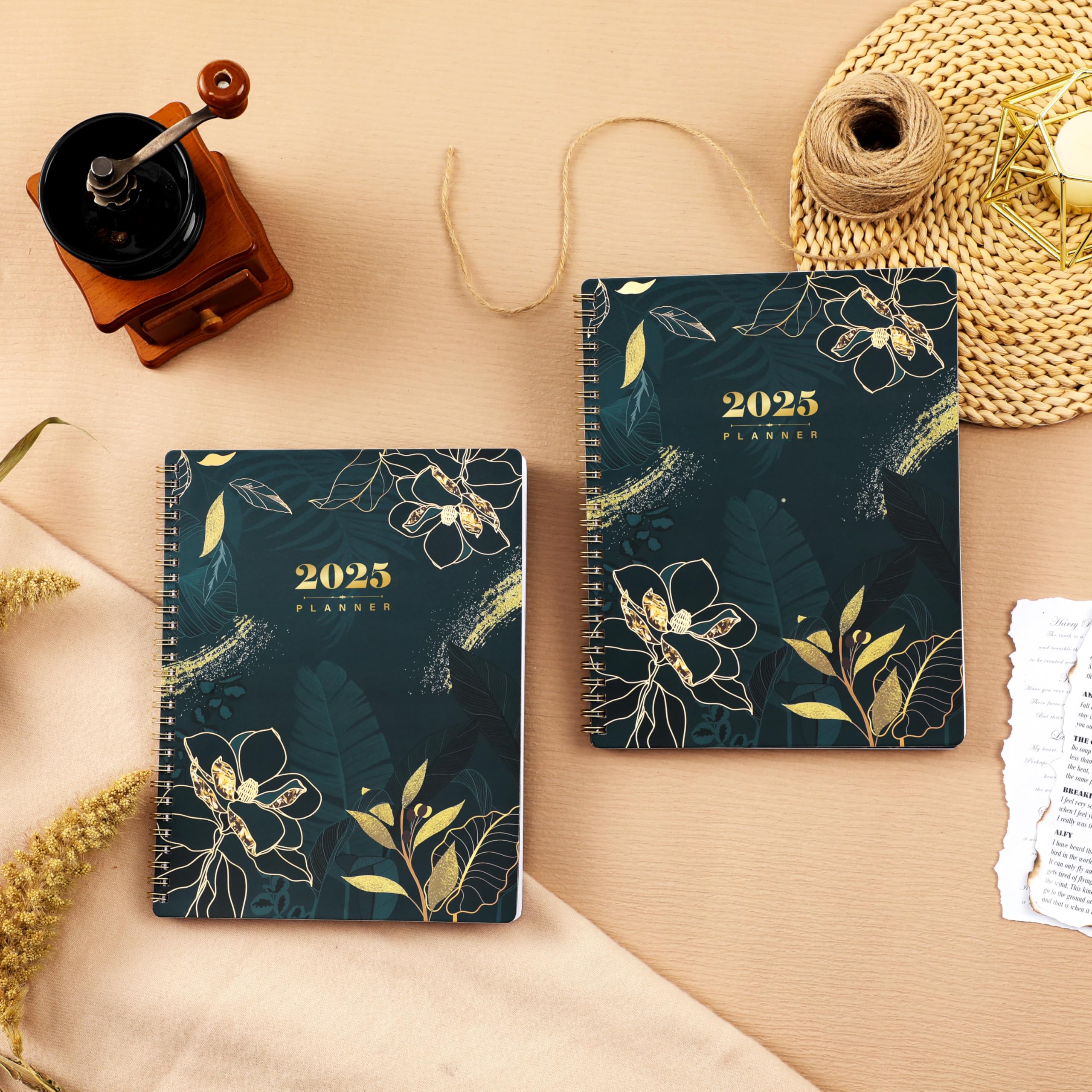 Snapklik.com : 2025 Planner - 2025 Planner Weekly And Monthly