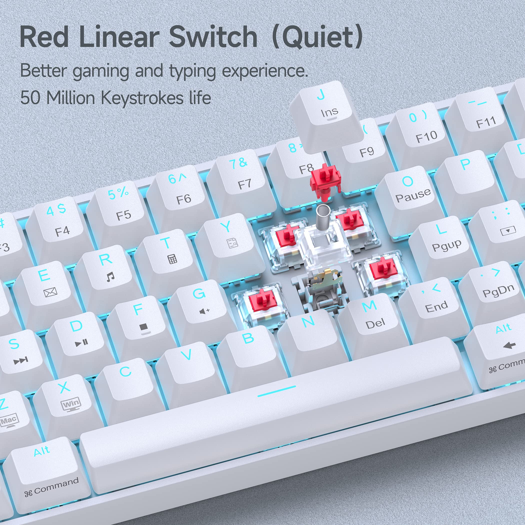 Snapklik.com : DIERYA DK61SE 60% Mechanical Gaming Keyboard, 61 Keys ...