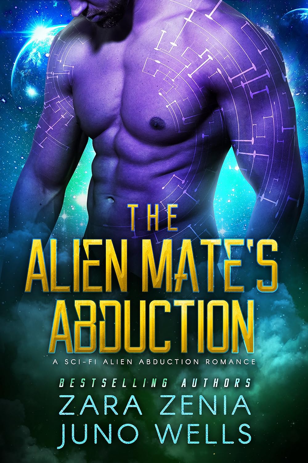 Amazon.com: The Alien Mate's Abduction: A Sci-Fi Alien Abduction ...