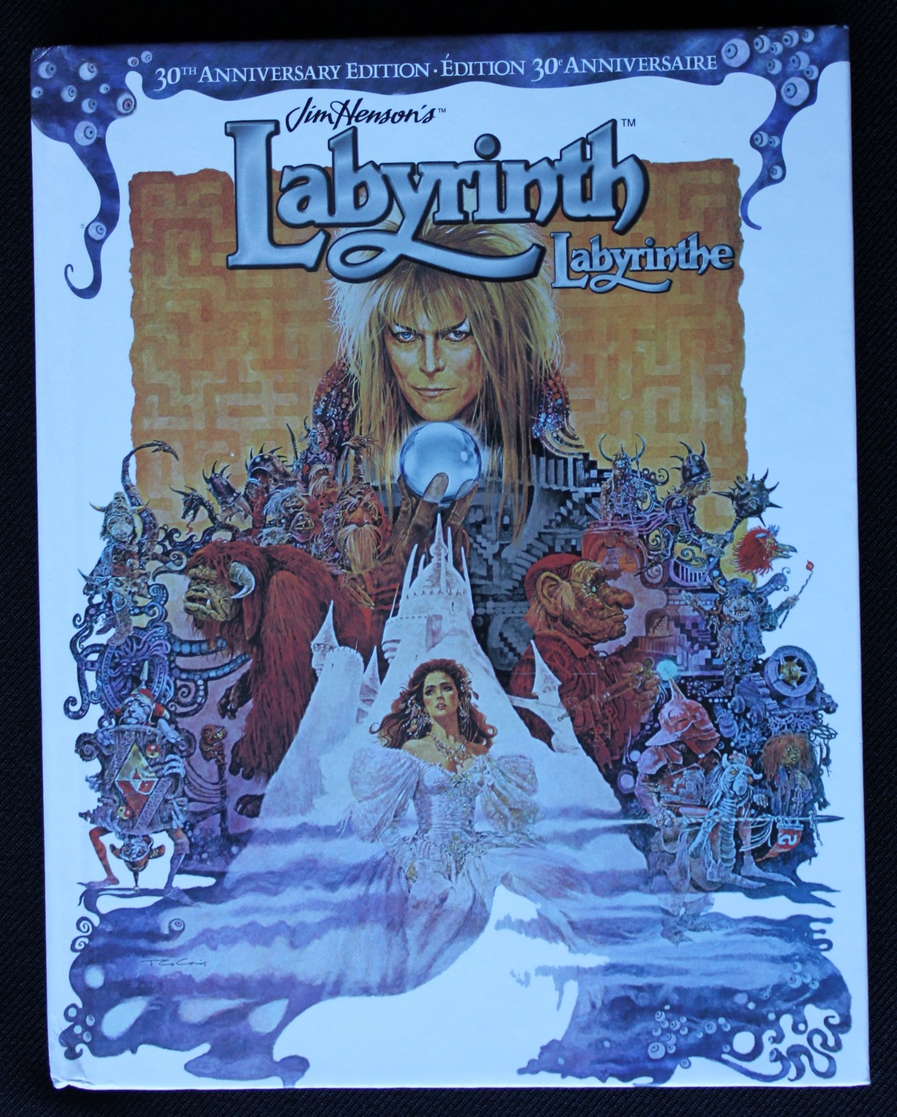 Labyrinth (Anniversary Edition) (Sous-titres français): Amazon.ca ...