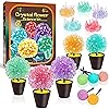 Amazon.com: Toysmith Crystal Growing Kit, Colors May Vary : Toys & Games