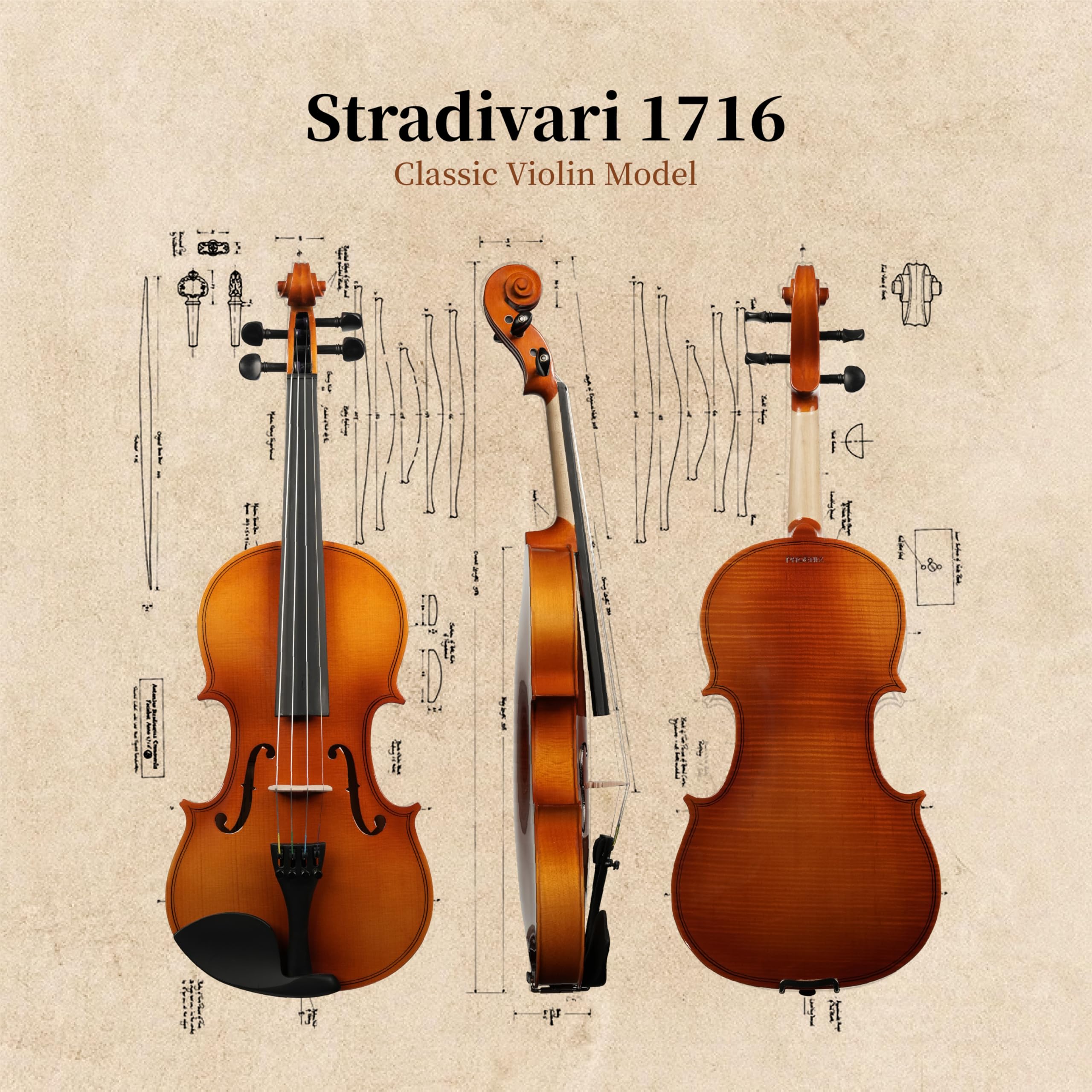 Snapklik.com : PHOENIX Violin 4/4 Complete Set Solid Timber Fiddle For ...