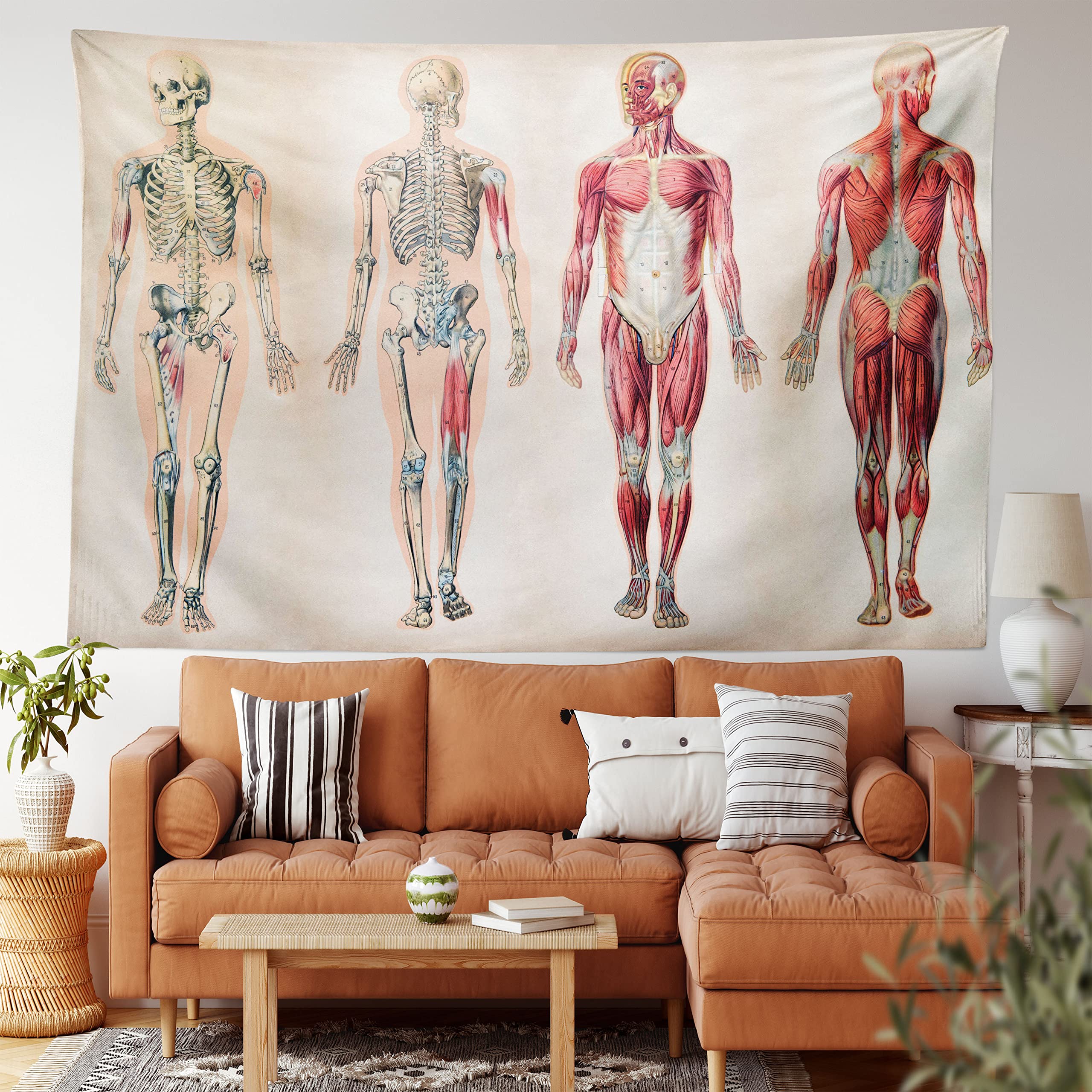 Human Anatomy Tapestry By Vintage Chart Of Body Front Back Skeleton