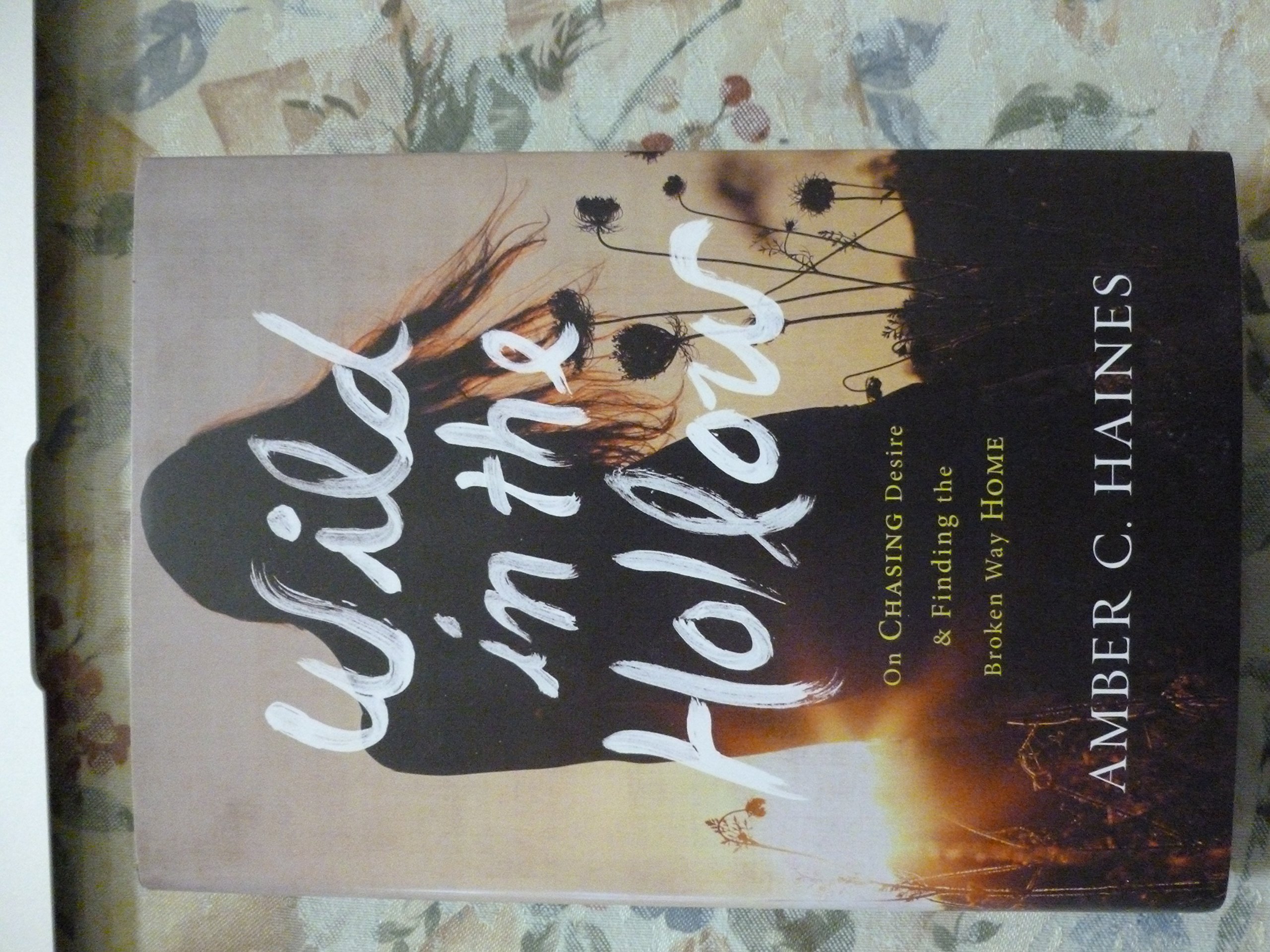 Wild in the Hollow: On Chasing Desire and Finding the Broken Way Home ...