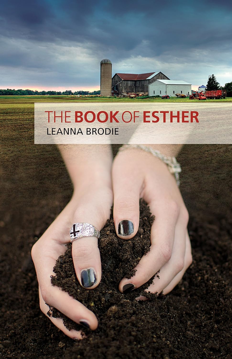 Amazon.com: The Book of Esther eBook : Brodie, Leanna: Books