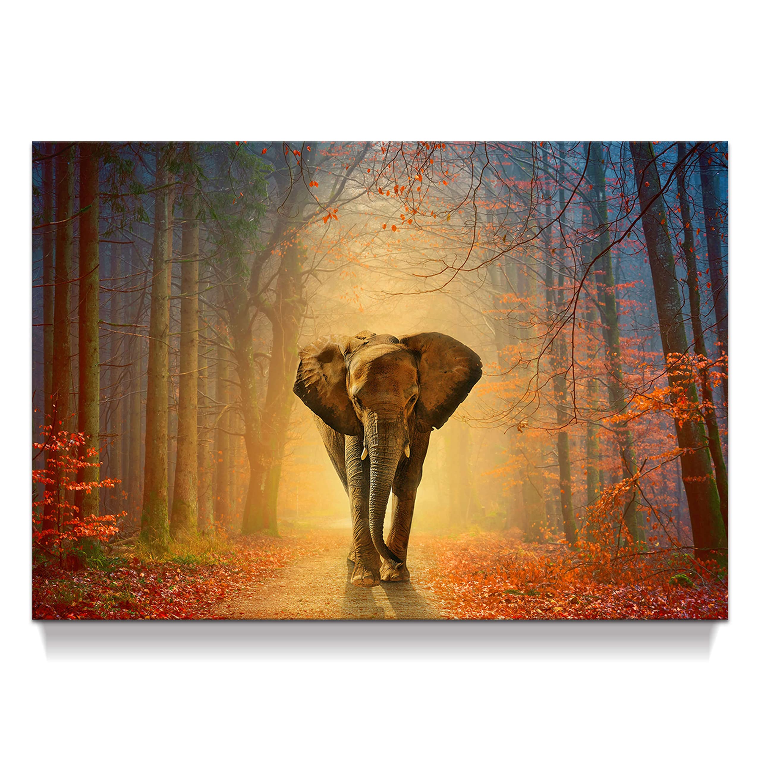 Pinturas De Animales De Arte Africano Pinturas De Arte De Cara De