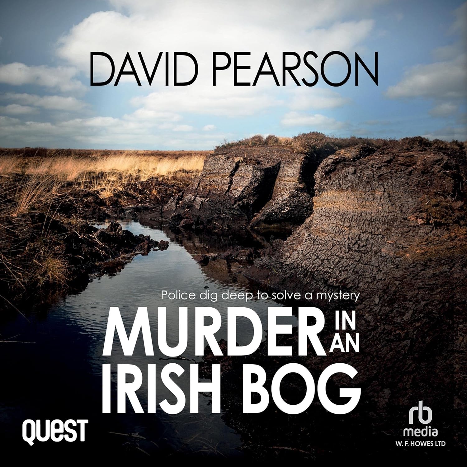 Amazon.com: Murder in an Irish Bog: The Galway Homicides, Book 11 ...
