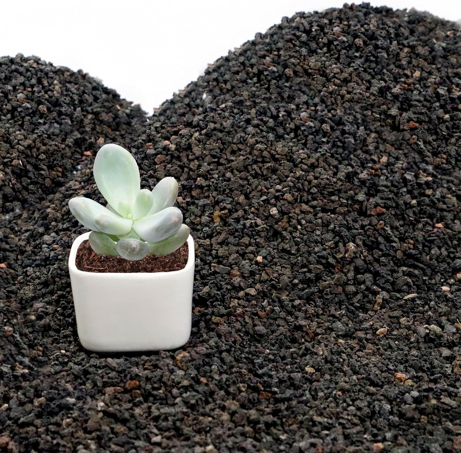 18LB Black Lava Rocks for Plants, Volcanic Horticultural Lava Rock Soil ...