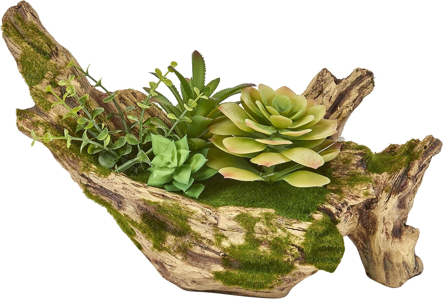 Amazon.com: Worth Imports 1176 13" Faux Cactus in Petrified Wood : Home ...