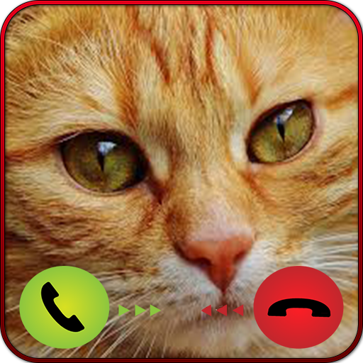 Call From Cat - App on Amazon Appstore