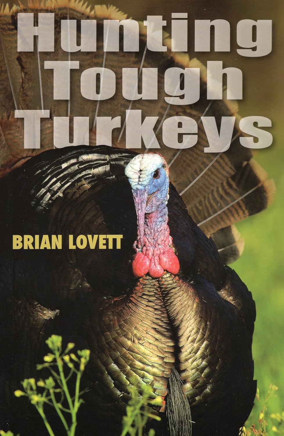 Hunting Tough Turkeys: Lovett, Brian: 9780811736237: Amazon.com: Books