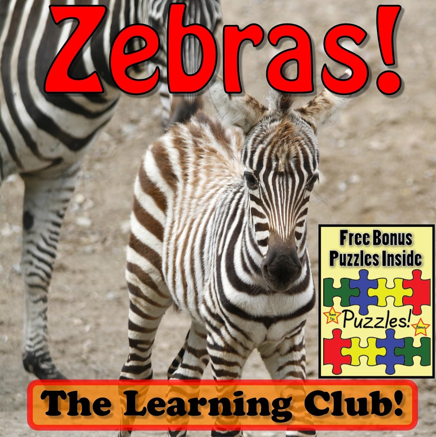 Zebras! Learn About Zebras And Learn To Read - The Learning Club! (45 ...