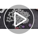 Amazon.com: 100 Sets Cover Buttons Kit with Tools Size Buttons to Cover ...