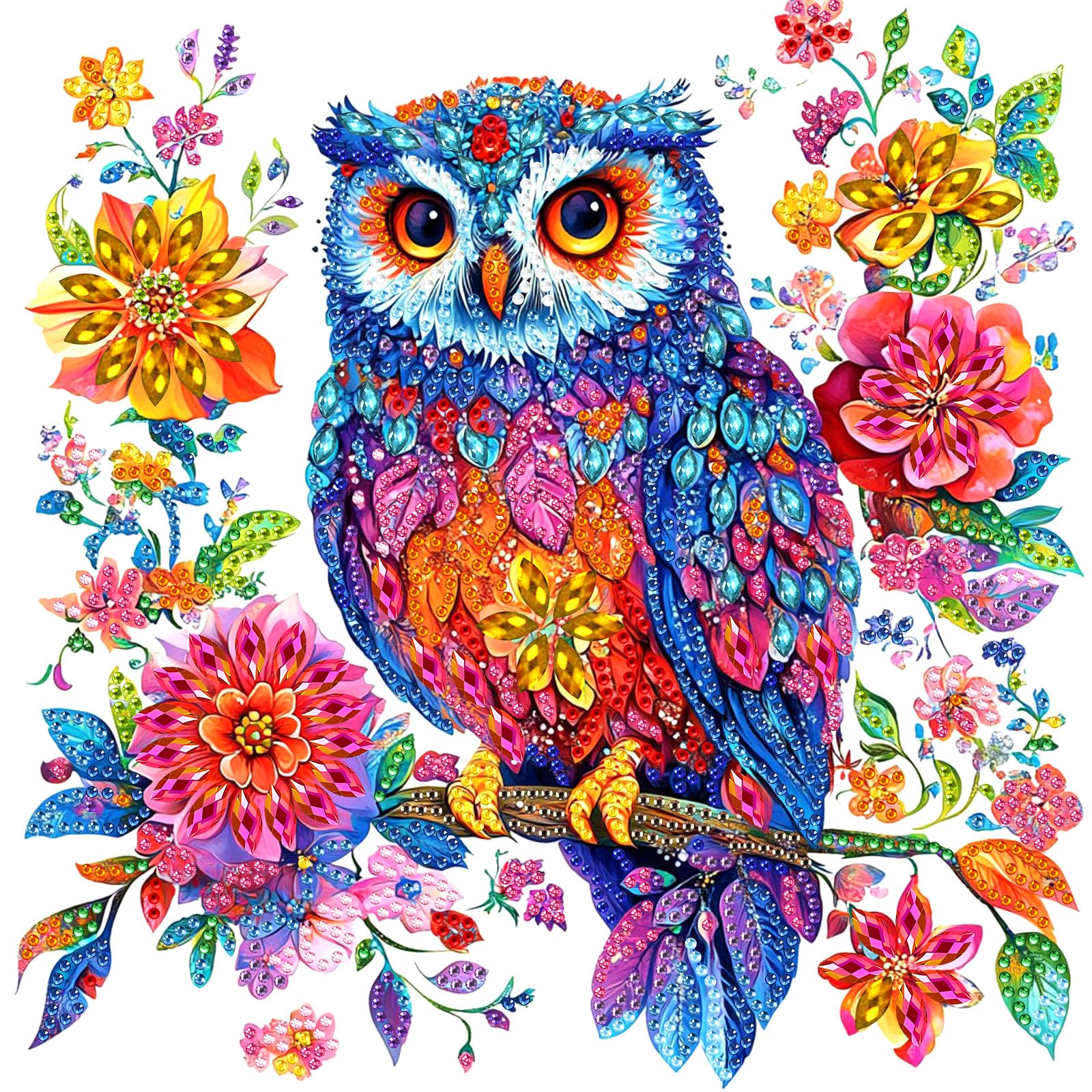Amazon.com: KEYIFA Diamond Painting Owl Flower Diamond Art Kits for ...