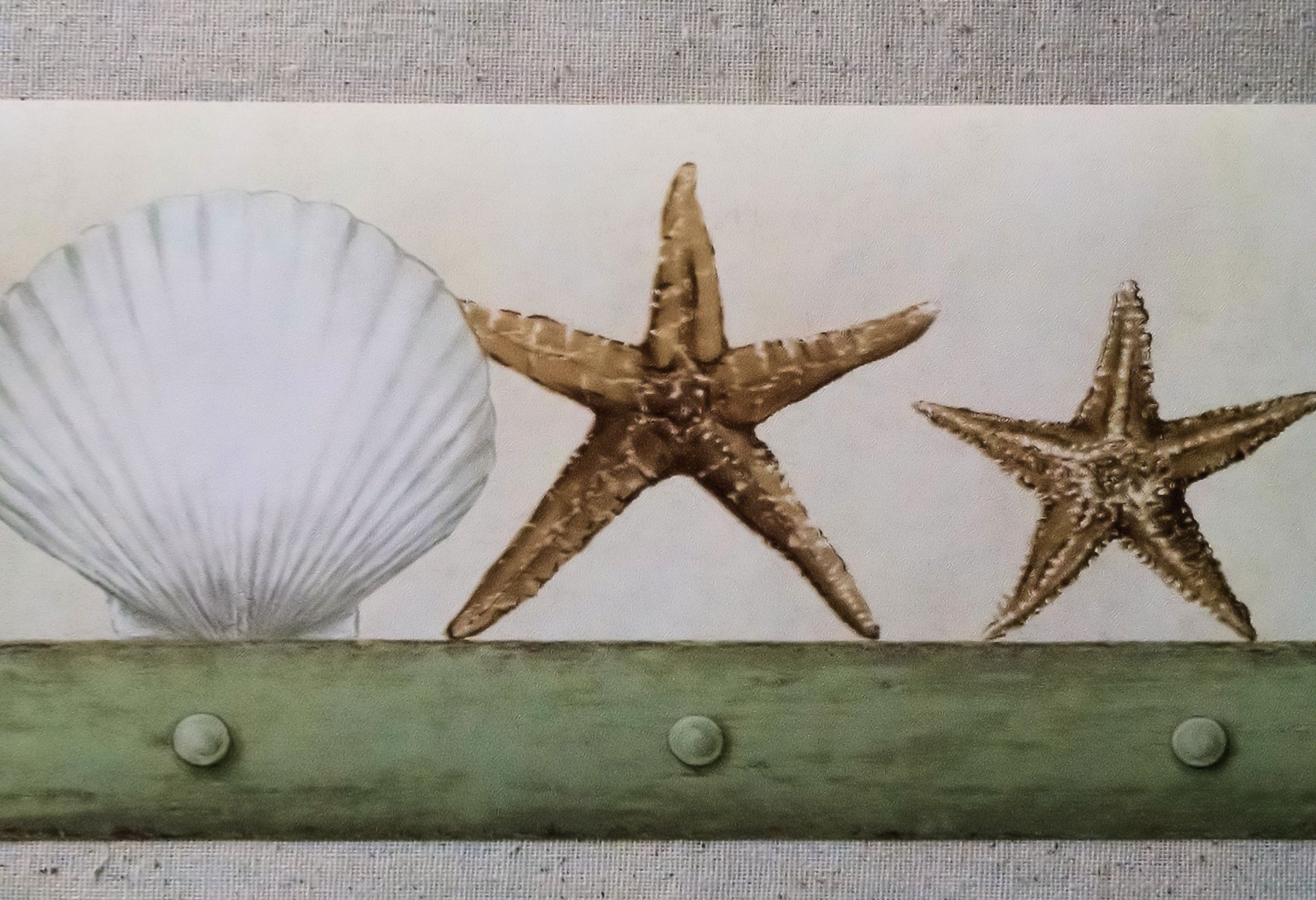 Seashell Wallpaper Border WALLPAPER BORDER SHELLS IN FRAMES BEACH