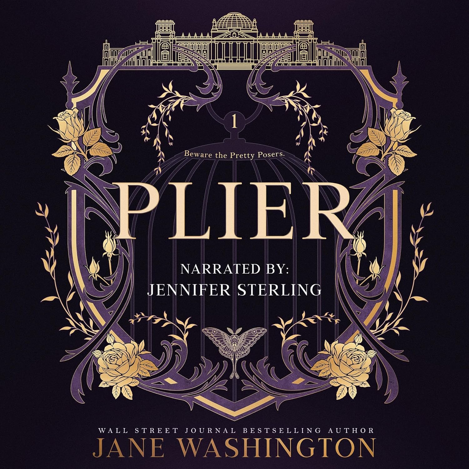 Amazon.com: Plier: Ironside Academy, Book 1 (Audible Audio Edition ...