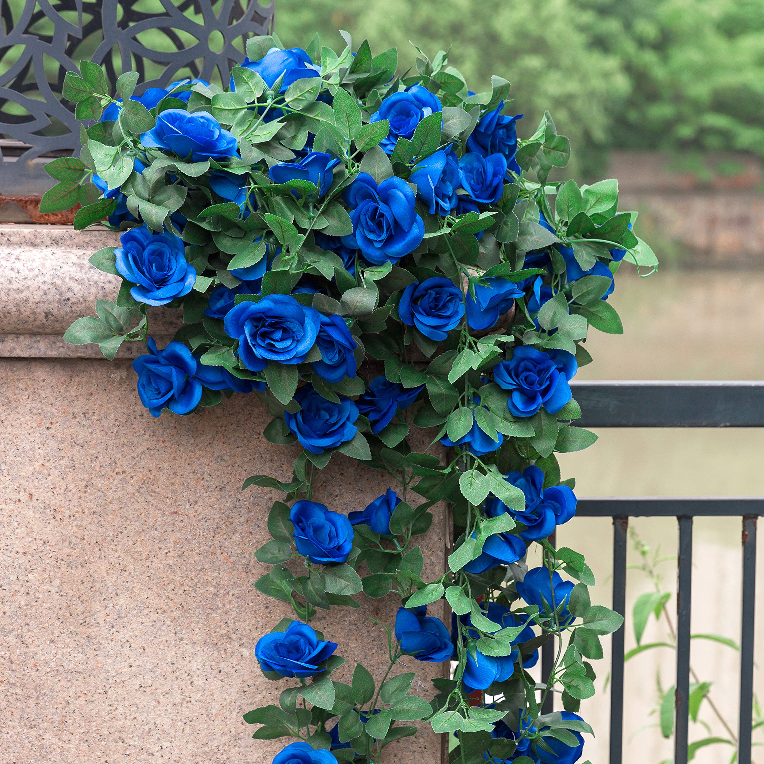 Blue Rose Vine
