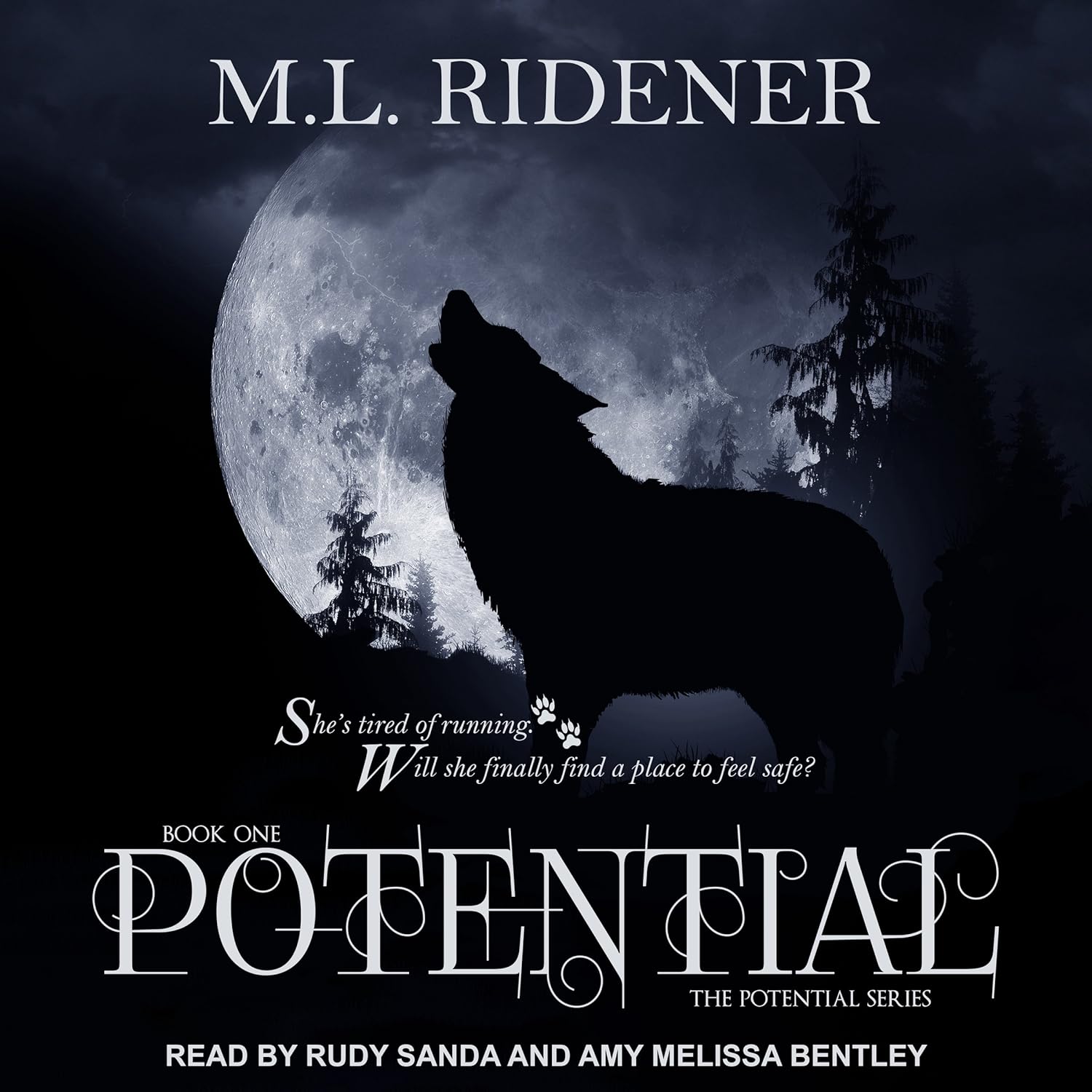 Amazon.com: Potential: The Potential Series, Book 1 (Audible Audio ...