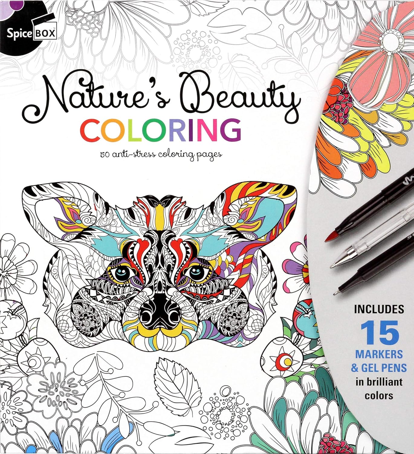 Amazon.com: Spice Box Sketch Plus Nature's Beauty Coloring Kit, 10029 ...