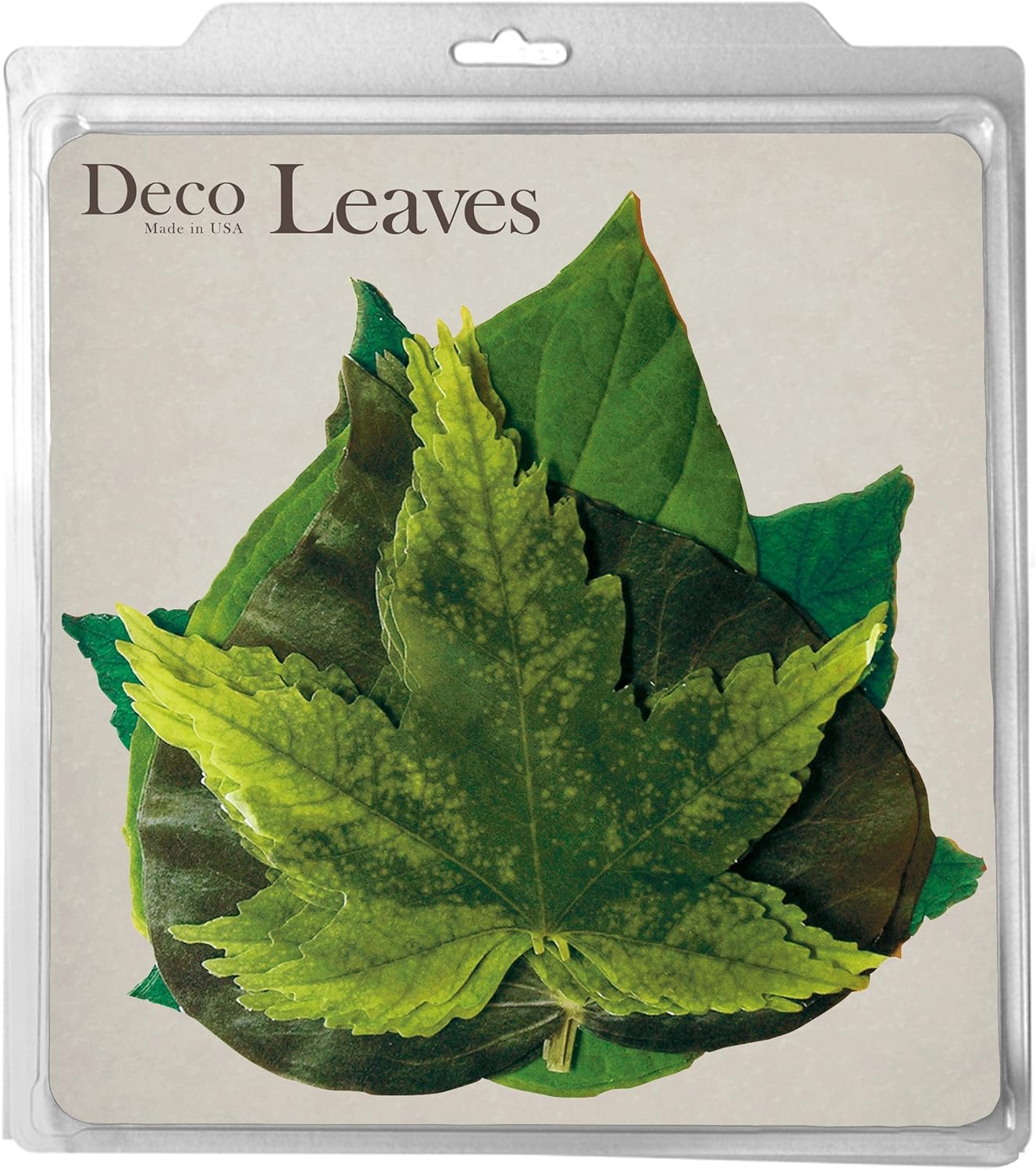 Amazon.com: EuroQuest Imports EuroQuest Spring Deco Parchment Leaves ...