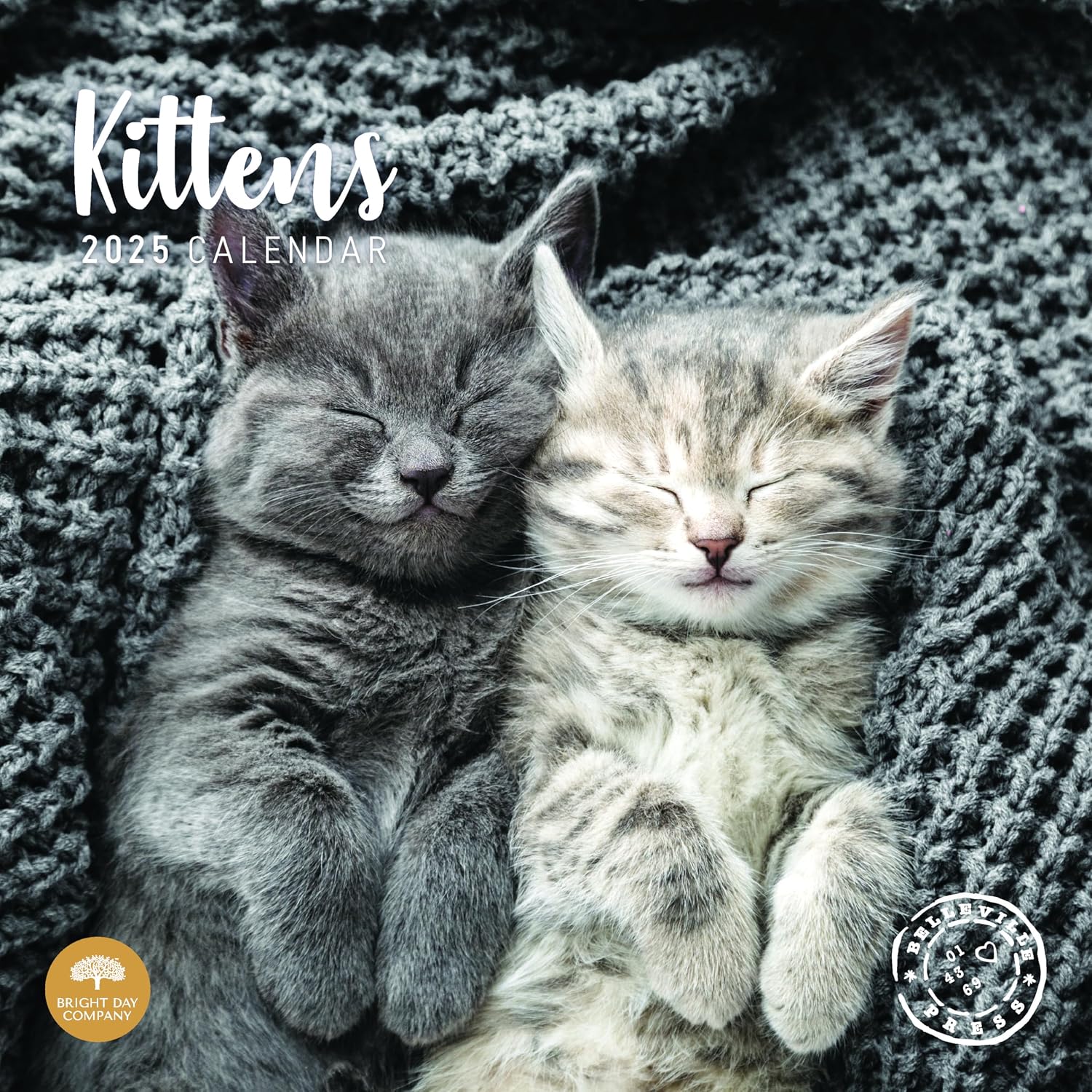 2025 Kittens Monthly Wall Calendar by Bright Day, 12 x 12 Inch : Amazon ...