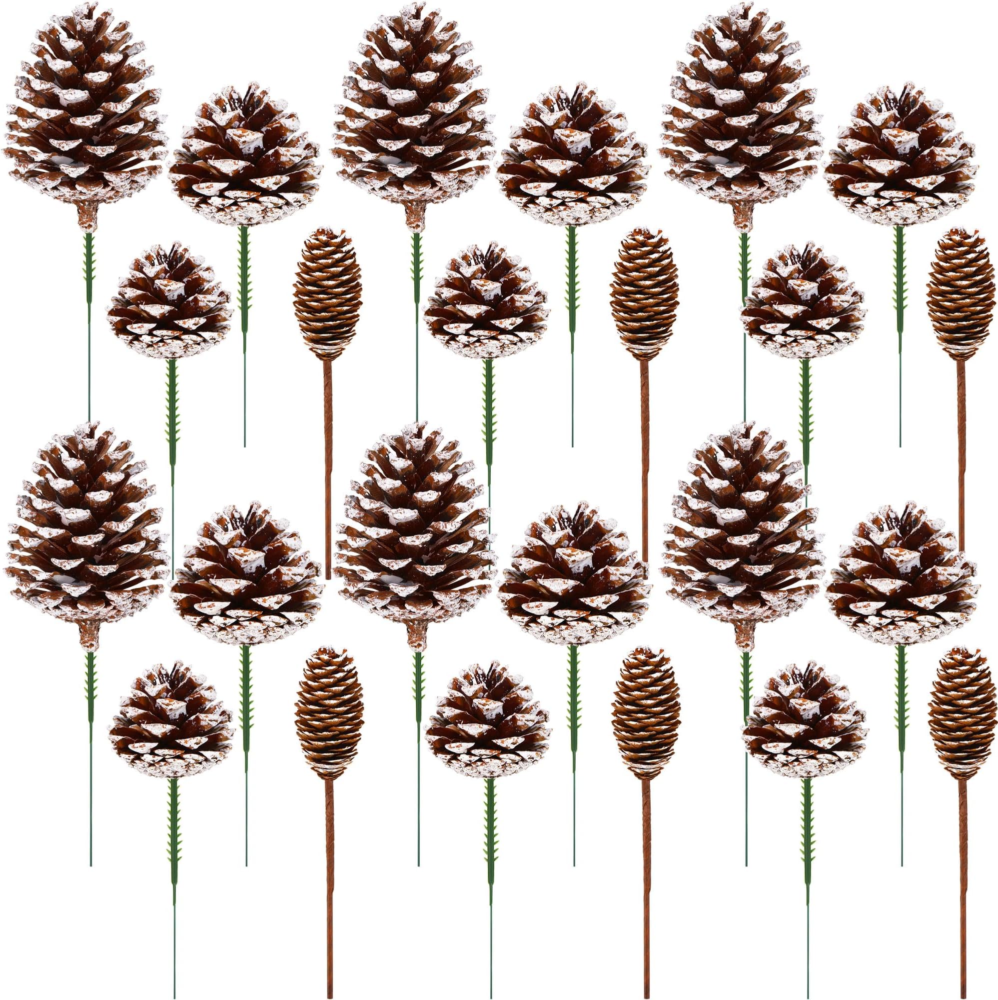 Amazon.com: 30 Pieces Christmas Natural Pine Cones Rustic Natural Pine ...