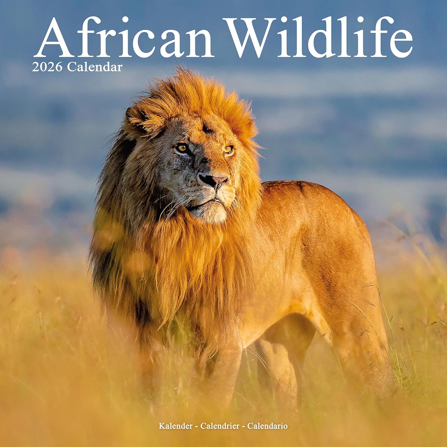 African Wildlife Calendar 2026 | 12 Month Wall Calendar | Avonside ...