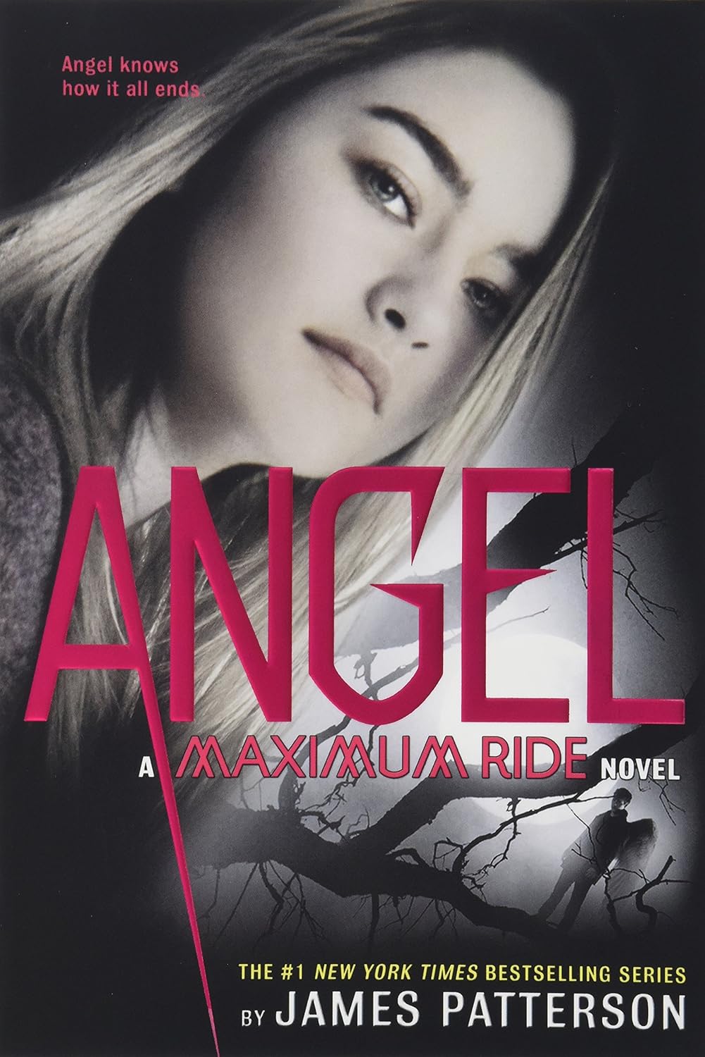 Amazon.com: Angel: A Maximum Ride Novel: 9780316038324: Patterson ...