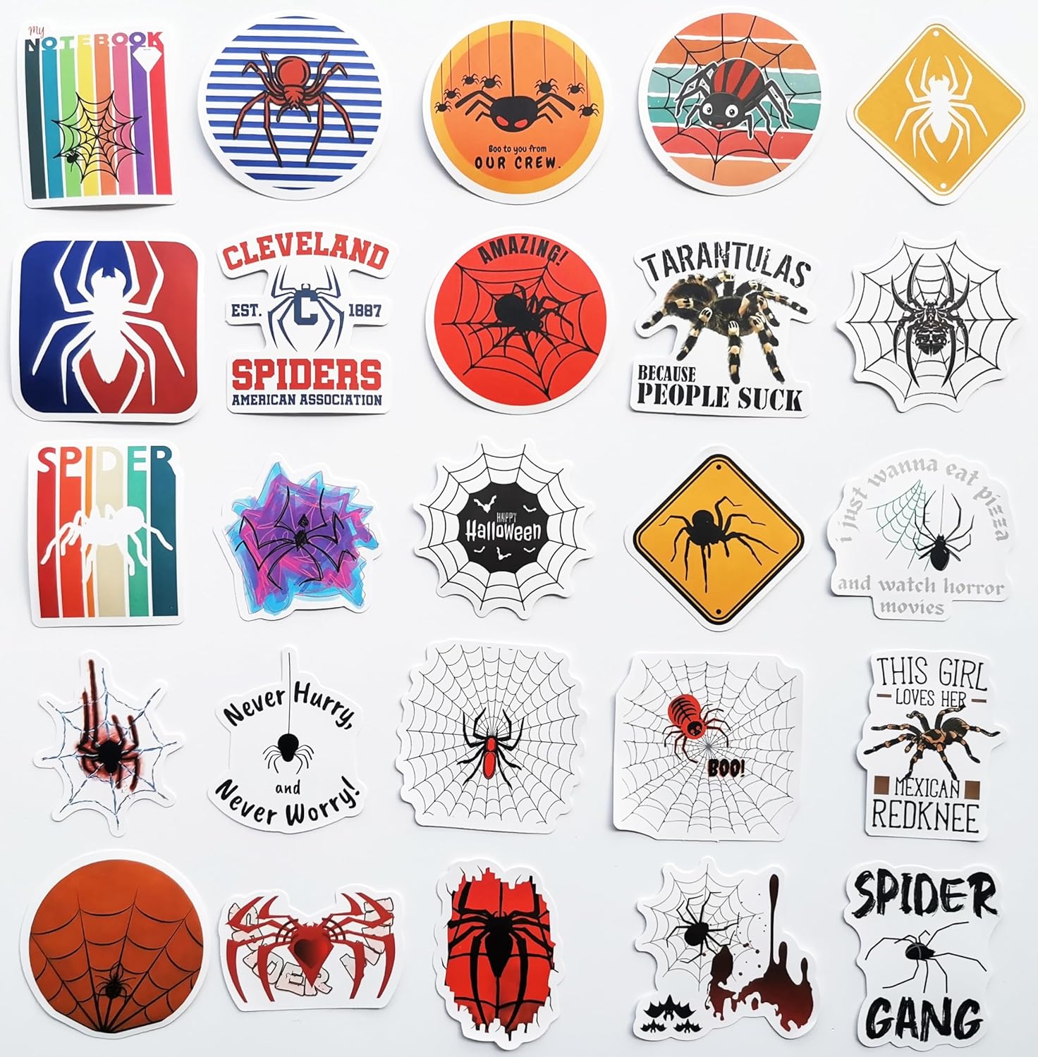 Amazon.com: 50Pcs Funny Spider Decals for Motorcycles Wolf Spider Web ...
