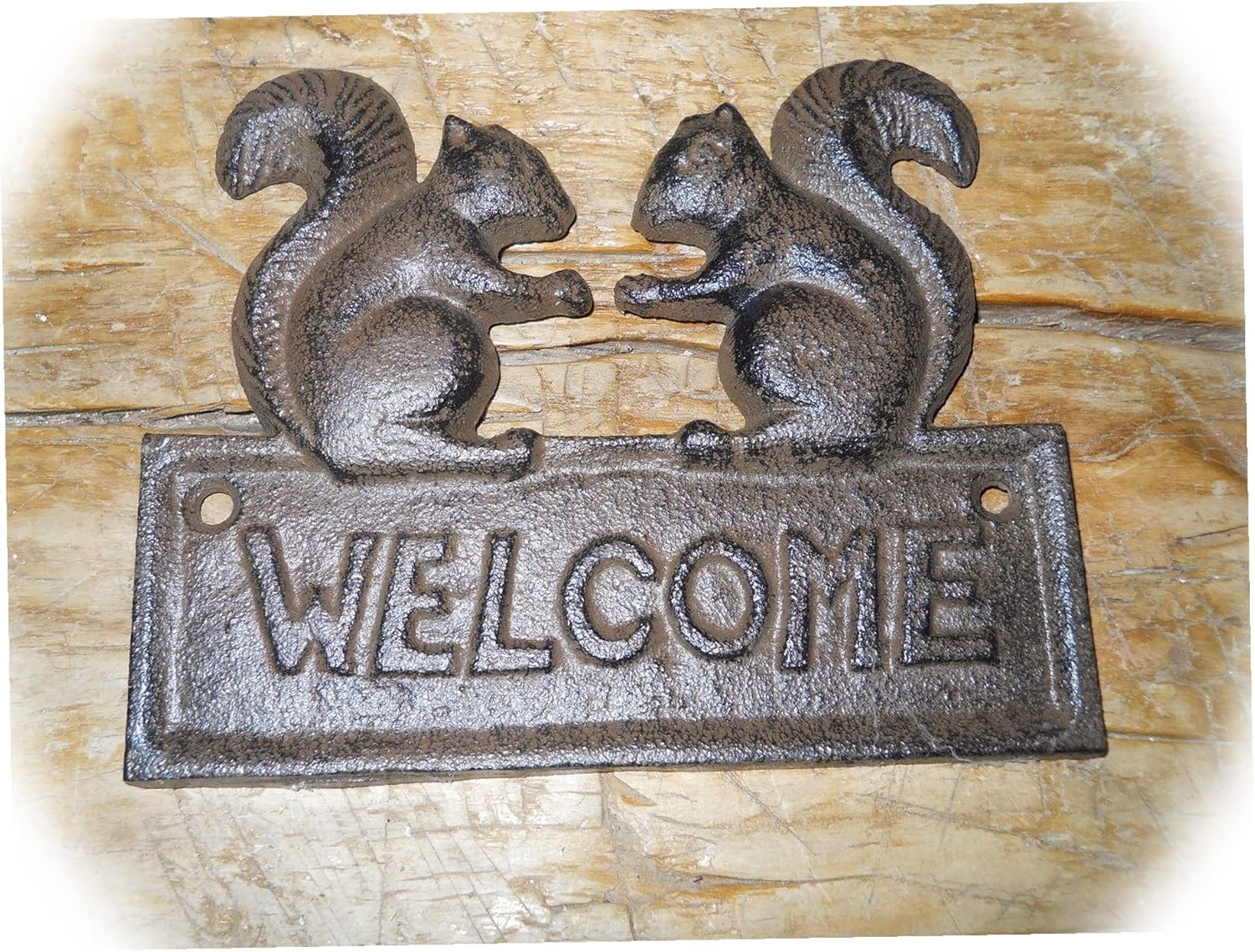 Amazon.com: New Cast Iron Squirrel Welcome Plaque Sign Rustic Ranch ...