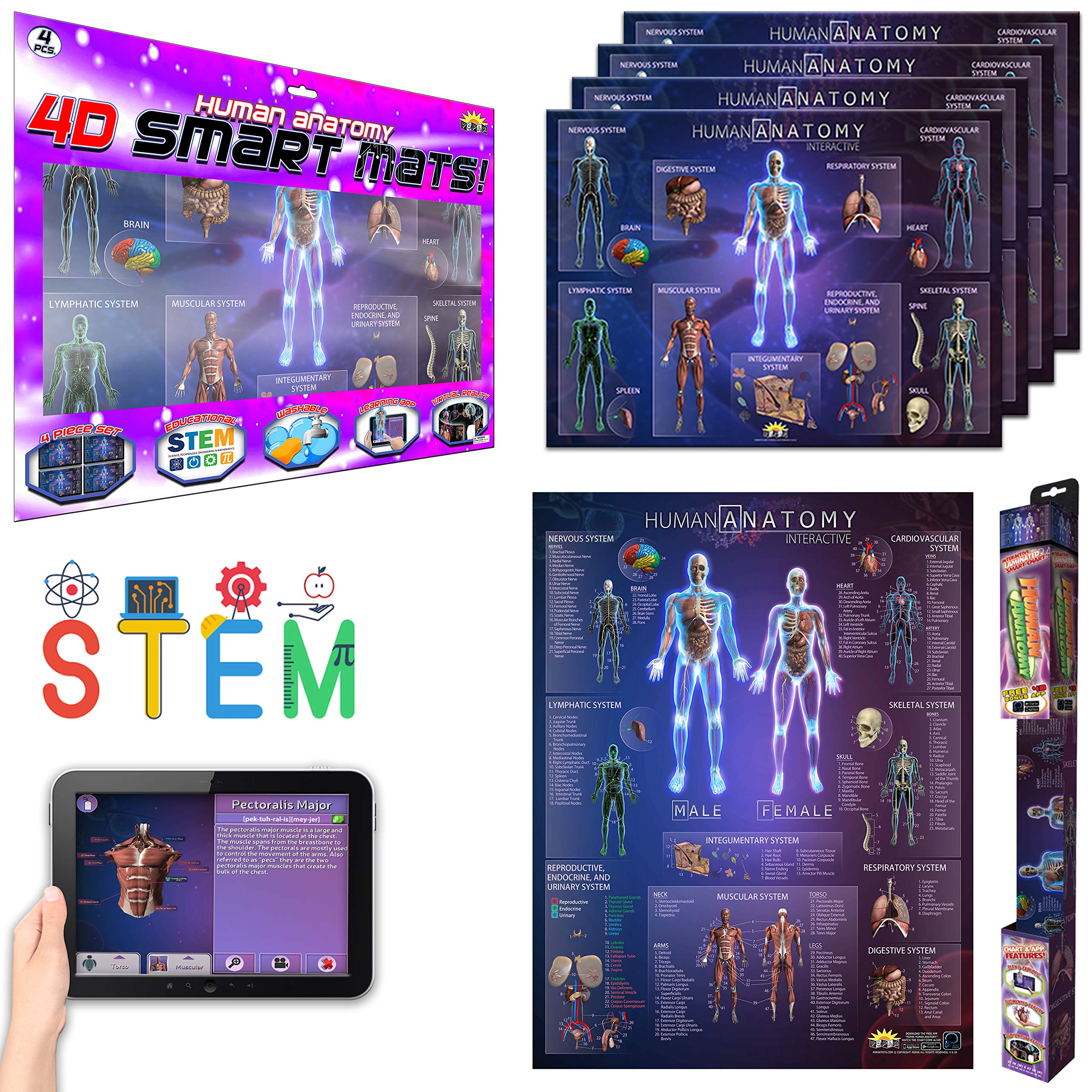 4d Anatomy App Anatomy: Human Body Augmented Reality Book