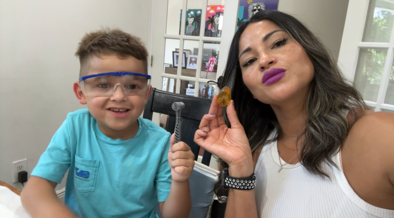 Watch Amber Dig Kit - 8 Insect Specimens Excavation Kit on Amazon Live