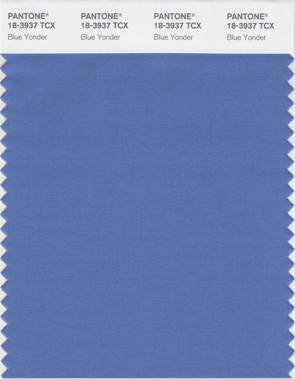 PANTONE Smart 18-3937X Color Swatch Card, Blue Yonder - Wall Decor ...