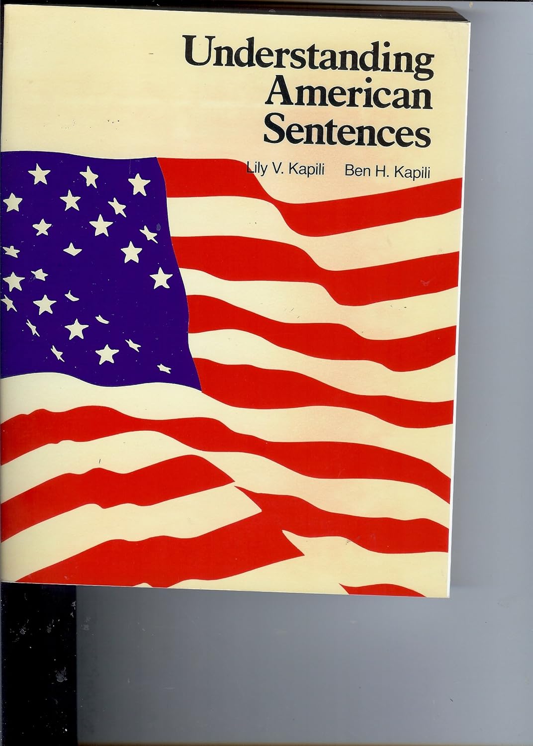 Understanding American Sentences : Amazon.com.mx: Libros