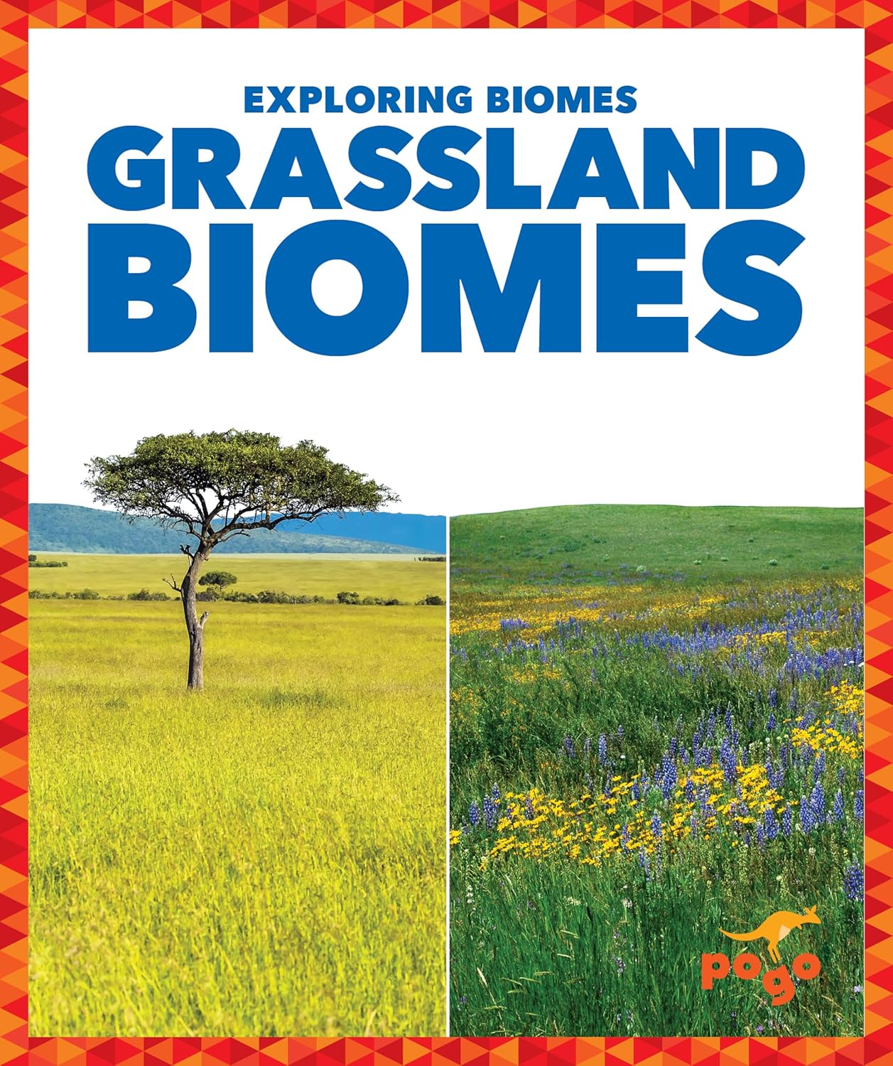 Grassland Biomes (Pogo Books: Exploring Biomes): Lela Nargi ...