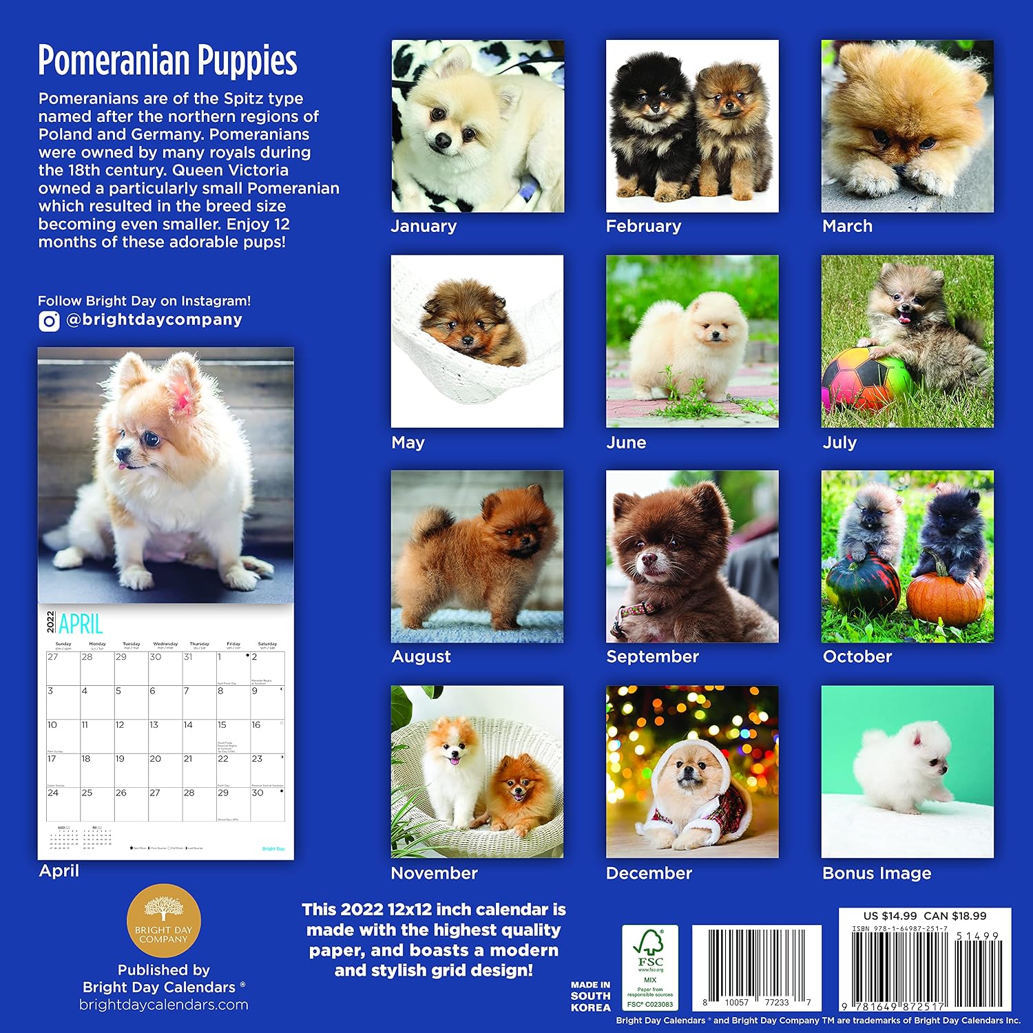 2022 Pomeranian Puppies Wall Calendar by Bright Day, 12 x 12 Inch, Cute ...
