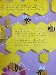 The Secret Life of Bees: Meet the bees of the world, with Buzzwing the ...