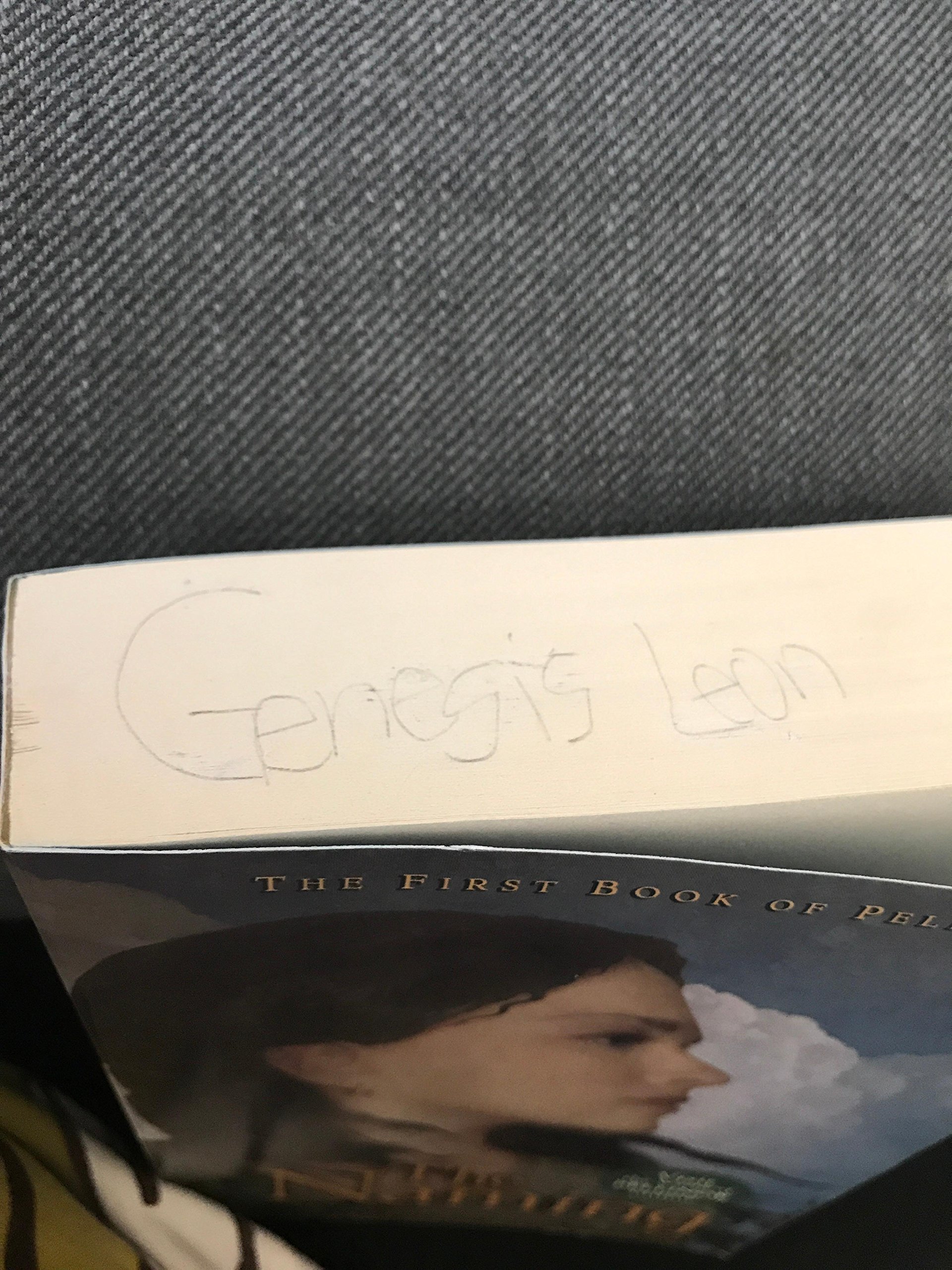 Amazon.com: The Naming: The First Book of Pellinor (Pellinor Series ...