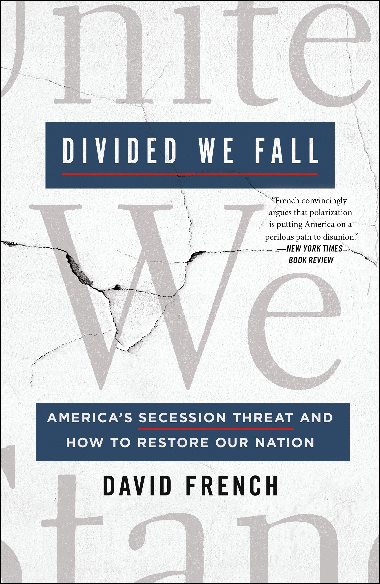 Divided We Fall: French, David: 9781250836731: Amazon.com: Books