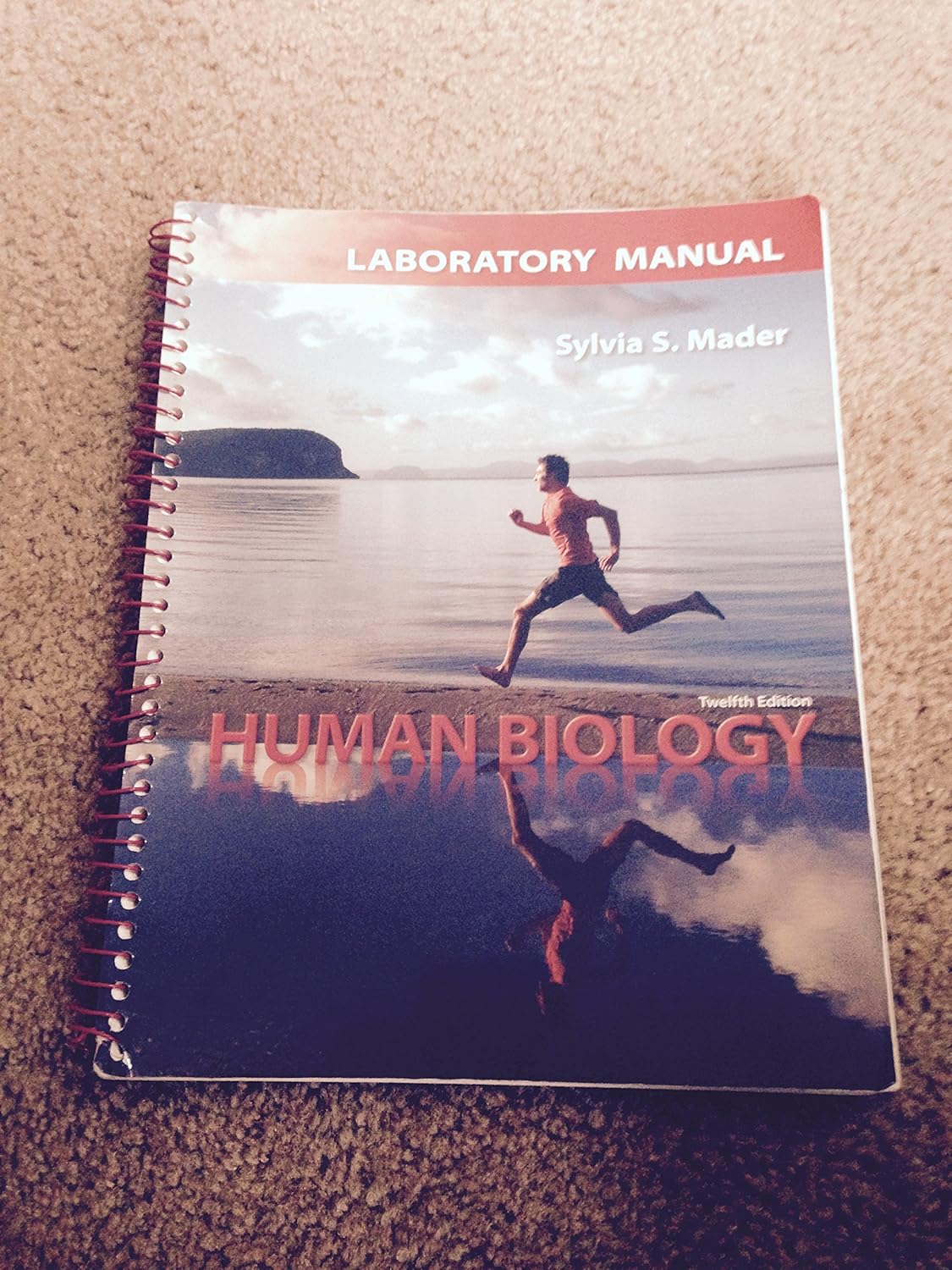 Amazon.com: Lab Manual for Human Biology: 9780077348625: Mader, Sylvia ...