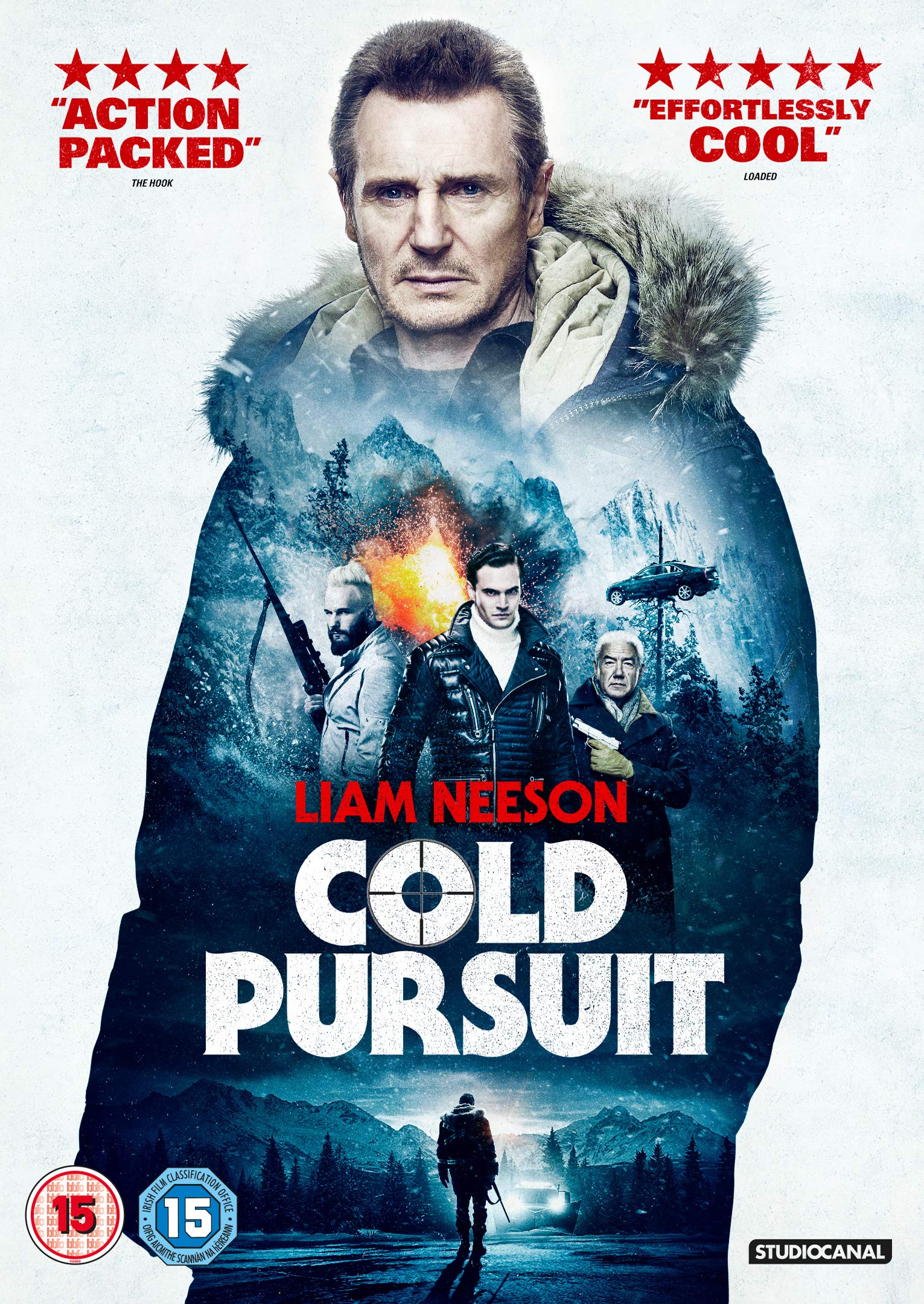 Amazon.com: Cold Pursuit [DVD] [2019] : Movies & TV