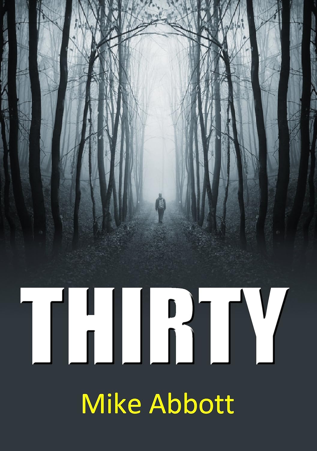 Amazon.com: THIRTY eBook : Abbott, Mike: Books