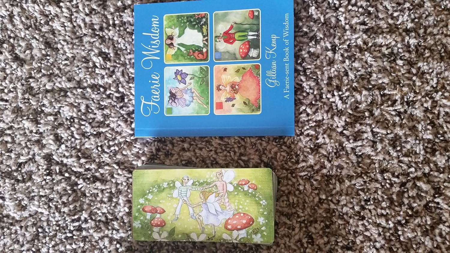 Faerie Wisdom: Kemp, Gillian: 9781906094935: Amazon.com: Books