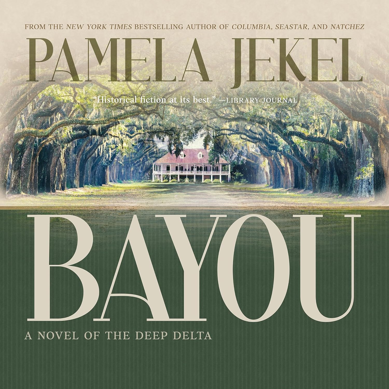 Amazon.com: Bayou: A Novel of the Deep Delta (Audible Audio Edition ...