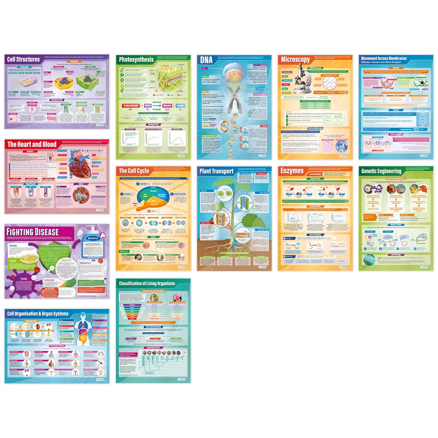 Daydream Education Biology Educational Science Posters – Set of 13 ...
