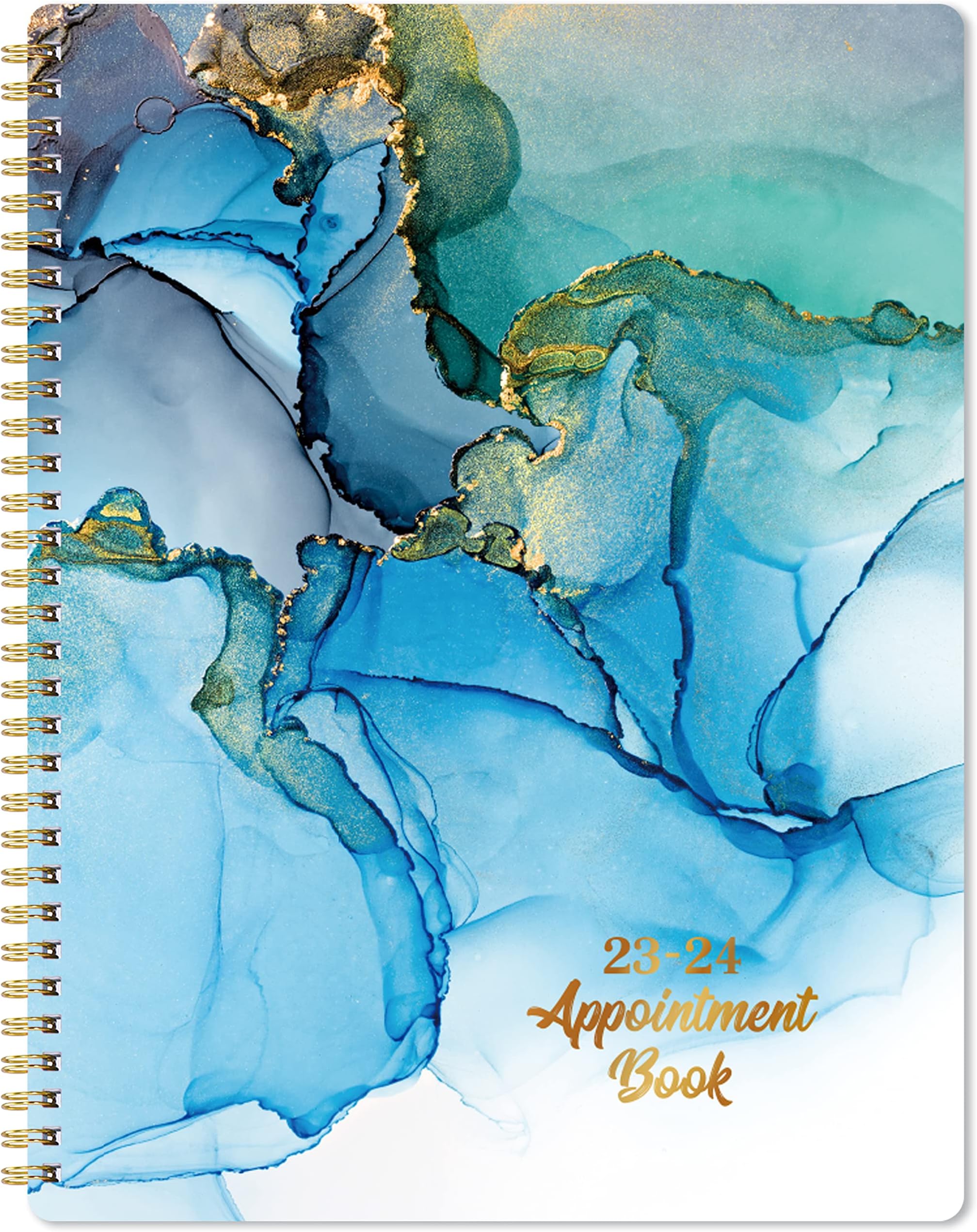 Amazon.com : 2023 Appointment Book - Appointment Book 2023, Daily ...
