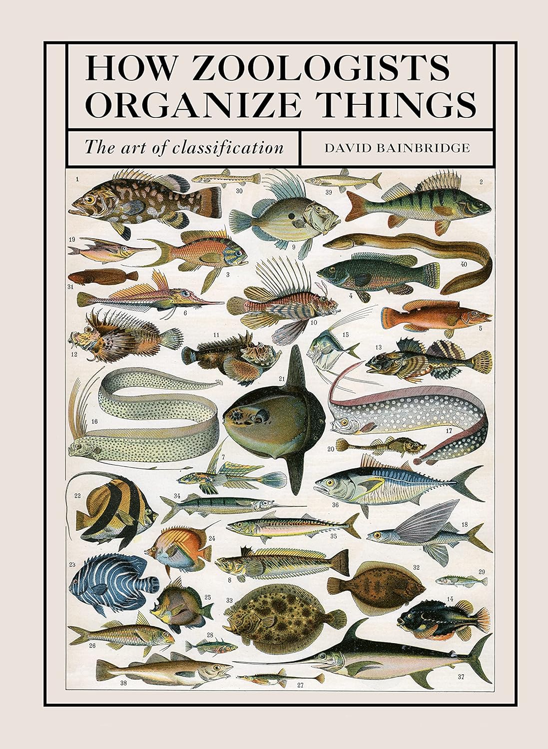 How Zoologists Organize Things: The Art of Classification: Bainbridge ...